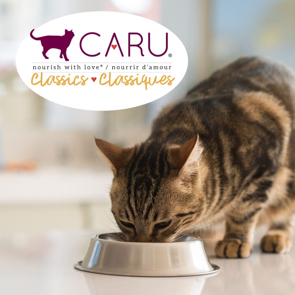 Caru Classics Chicken Stew for Cats - Caru Pet Food