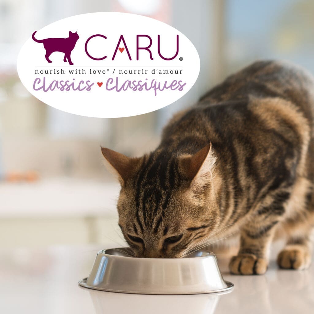 Caru Classics Wild Salmon & Turkey Stew for Cats - Caru Pet Food