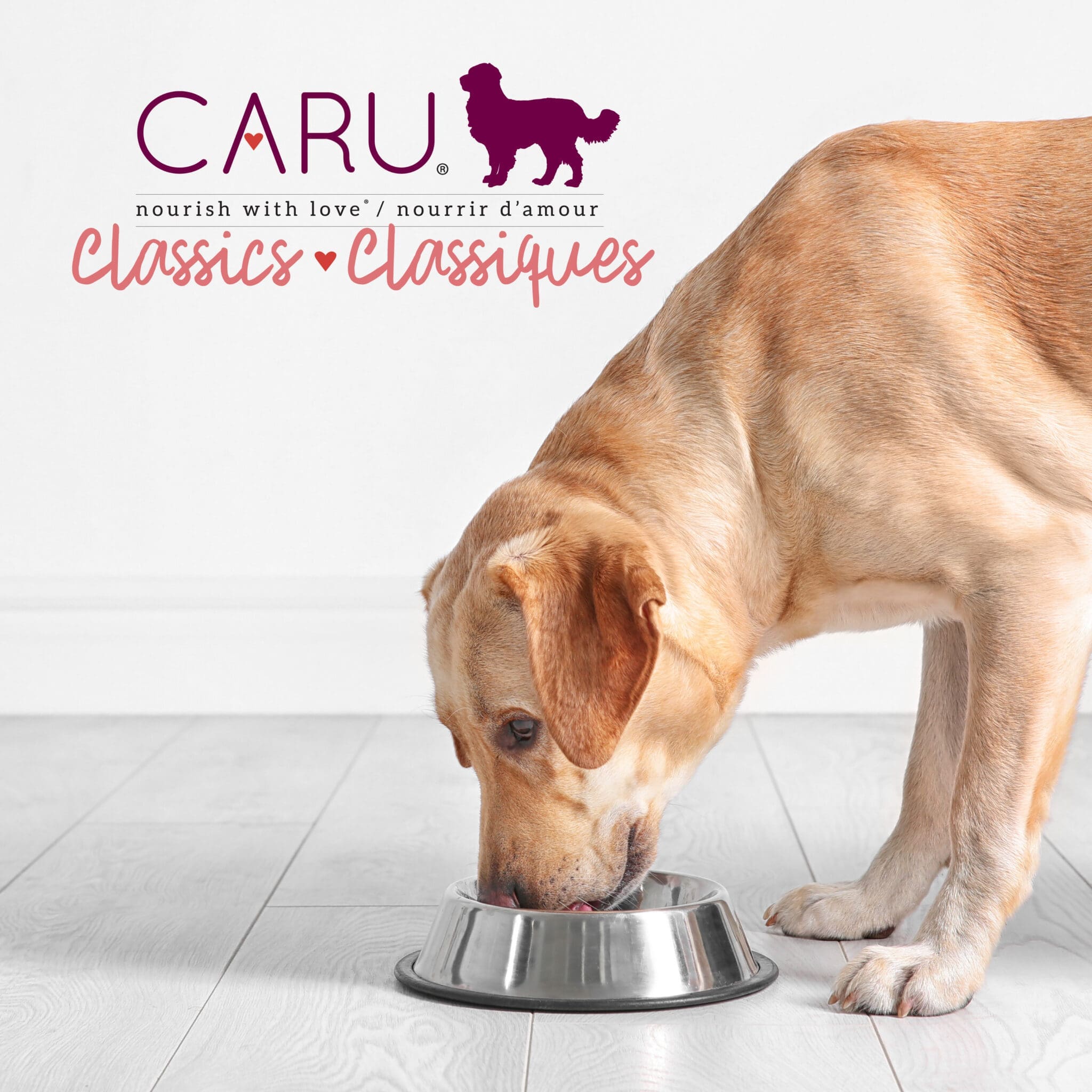 Caru Classics Beef Stew for Dogs - Caru Pet Food